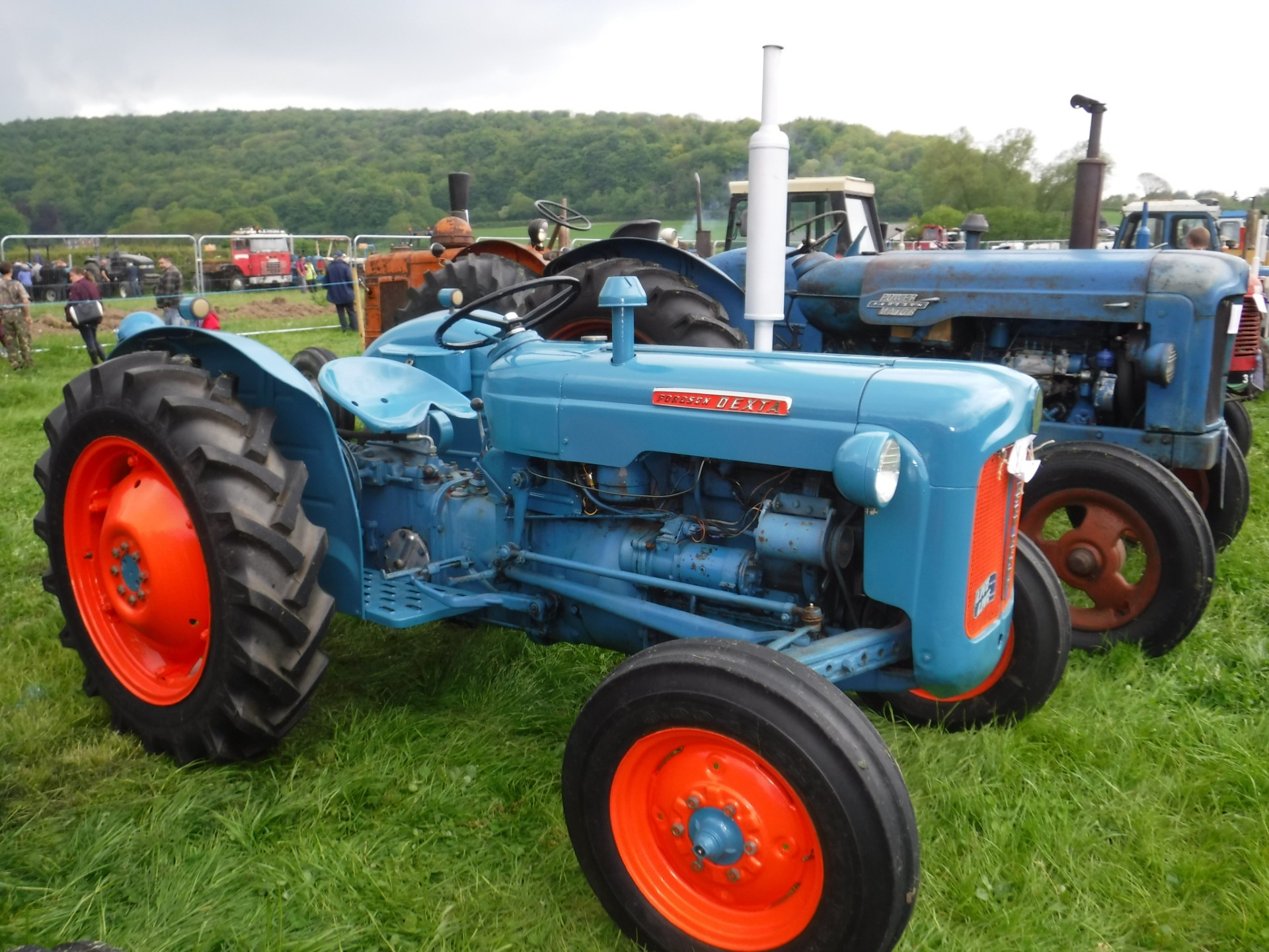 Fordson Dexta 1958 For Sale | Farm Machinery Buyer